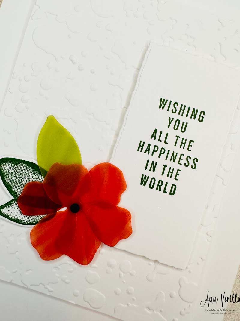 Stampin' Up! Translucent Florals Happiness Card - Ann Verillo ...